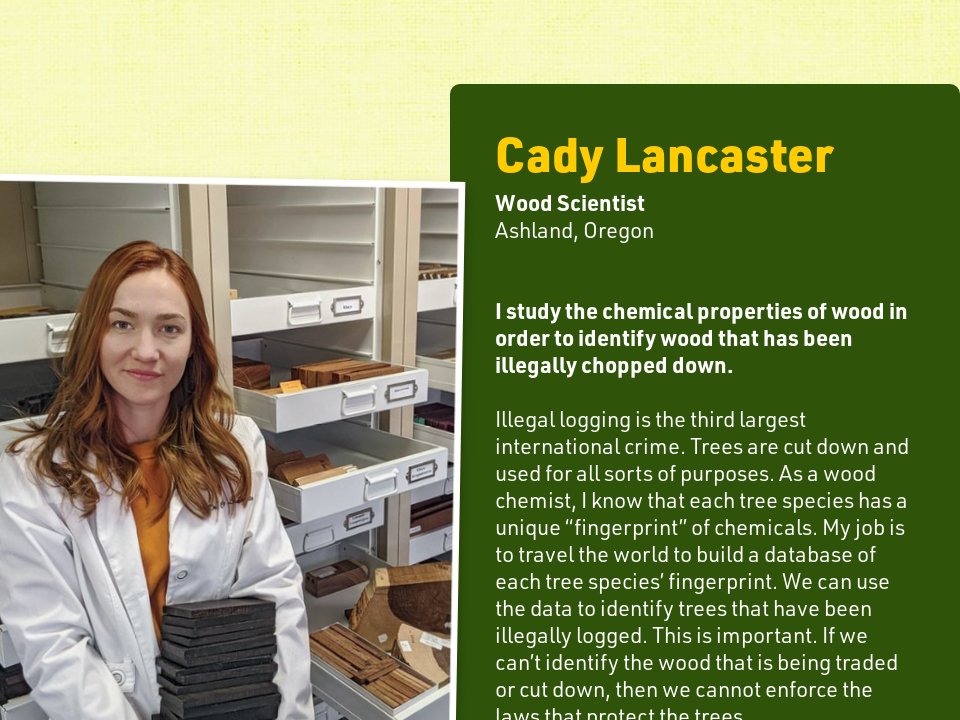 Digging Up History - Adventurer April 2020