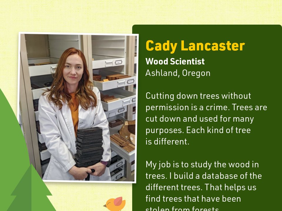 Digging Up History - Pioneer April 2020