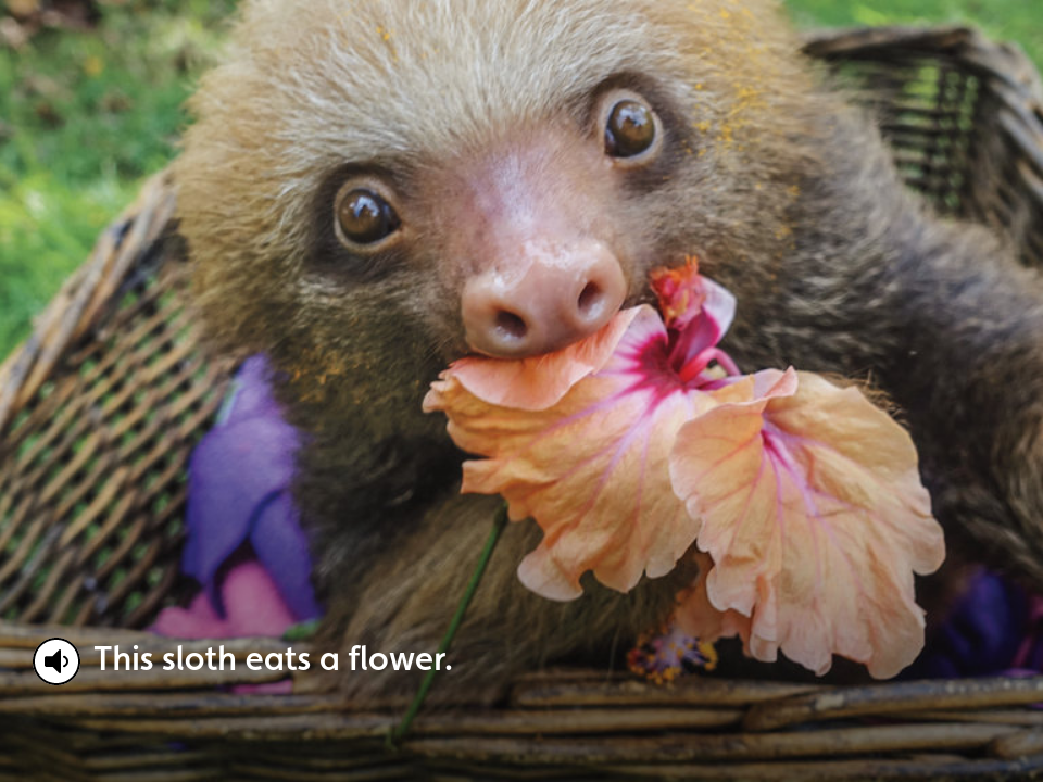 Explore Maps - Scout May 2019