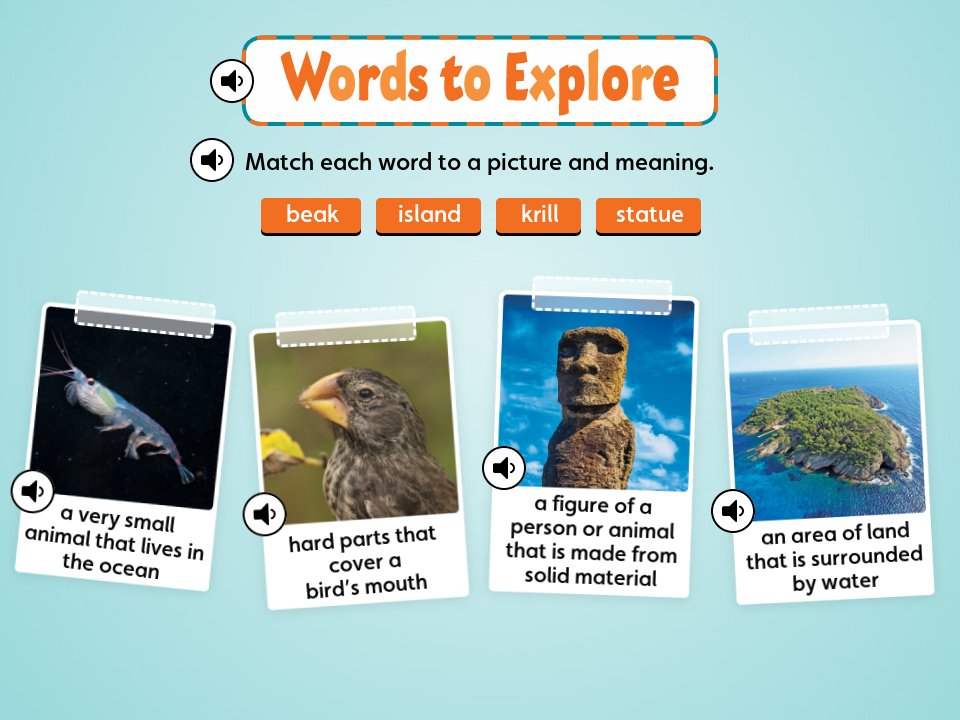 Whale Food 1 - Voyager October 2019