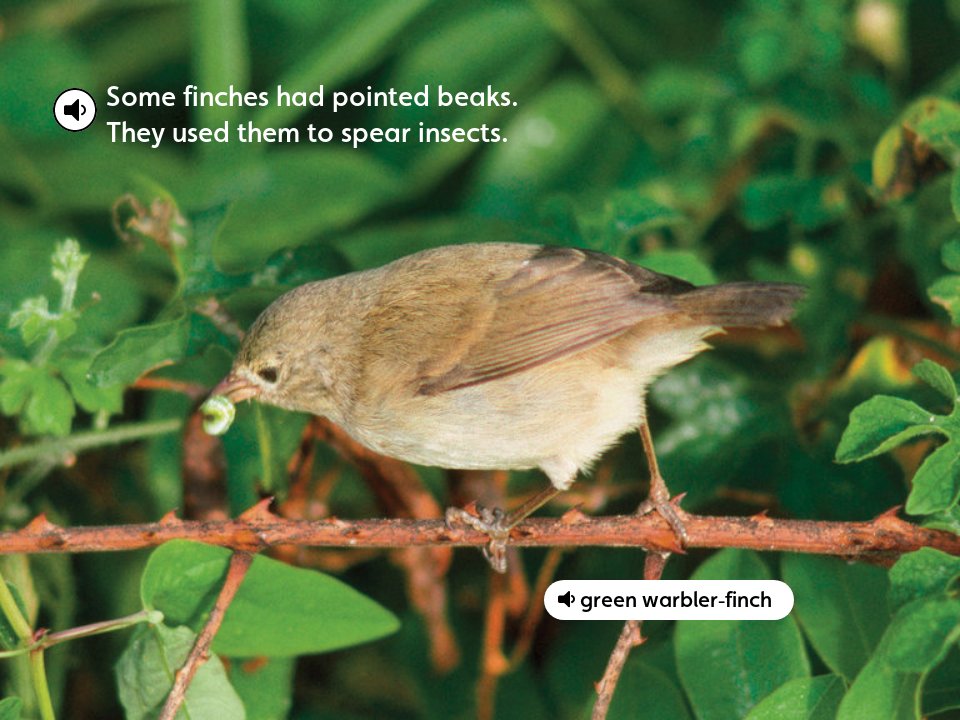 Whale Food 1 - Voyager October 2019