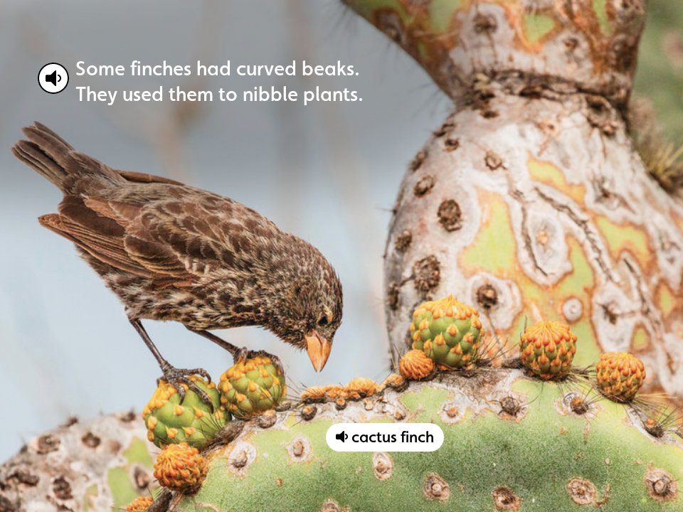 Whale Food 1 - Voyager October 2019