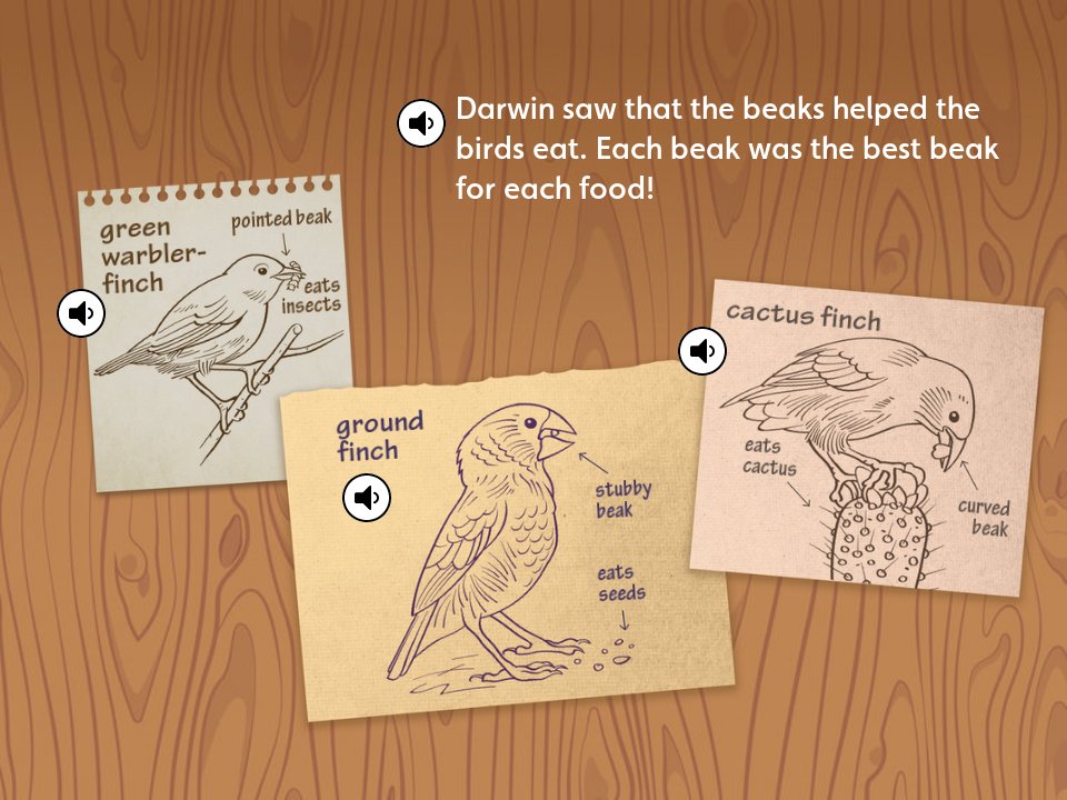 Whale Food 1 - Voyager October 2019